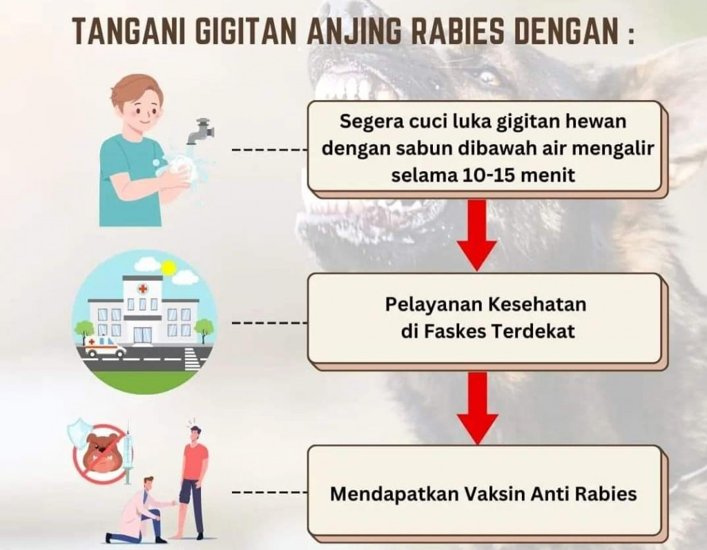 HARI RABIES SEDUNIA | Diskes Badung