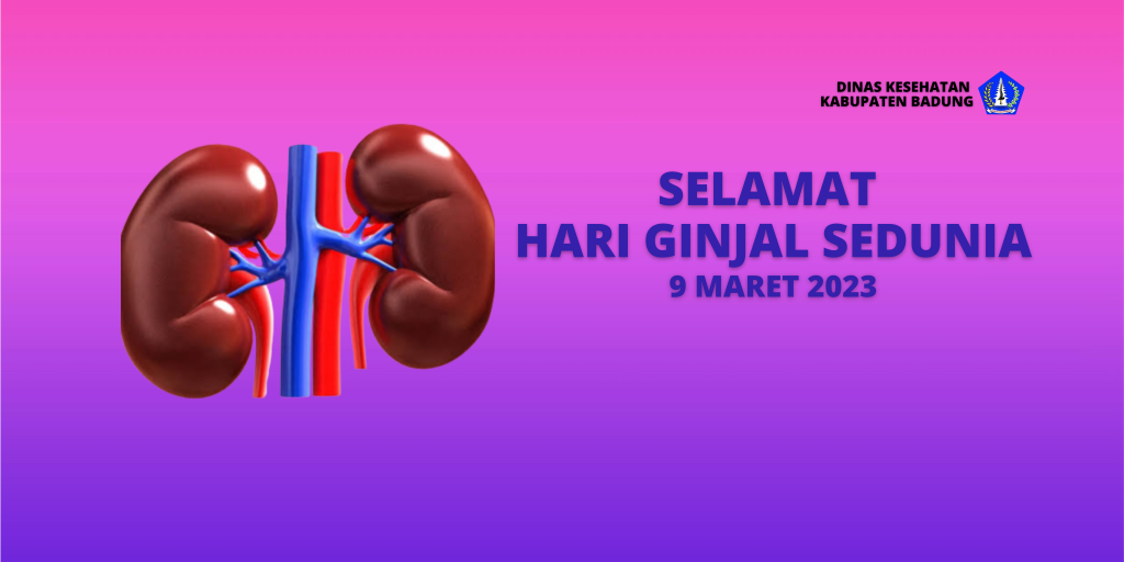 HARI GINJAL SEDUNIA 2023 | Diskes Badung